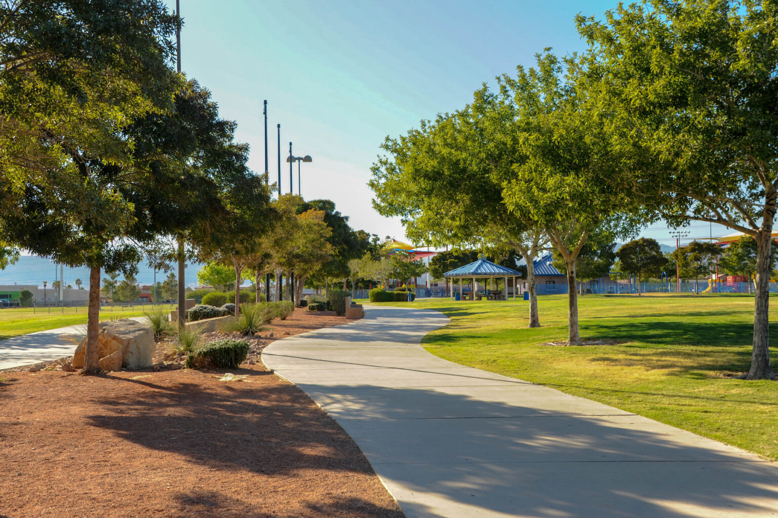 Desert Allergies Unveiled: Managing Fall Allergens in Las Vegas ...